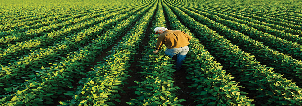 Community Foundation of Greater Des Moines